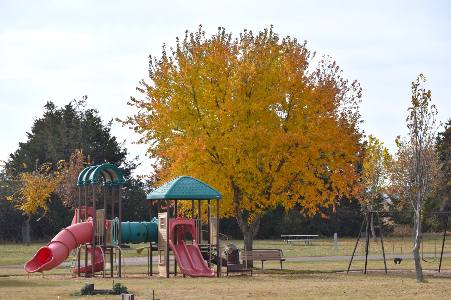 Fall colors hitting their peak at area state parks | Watertown Current