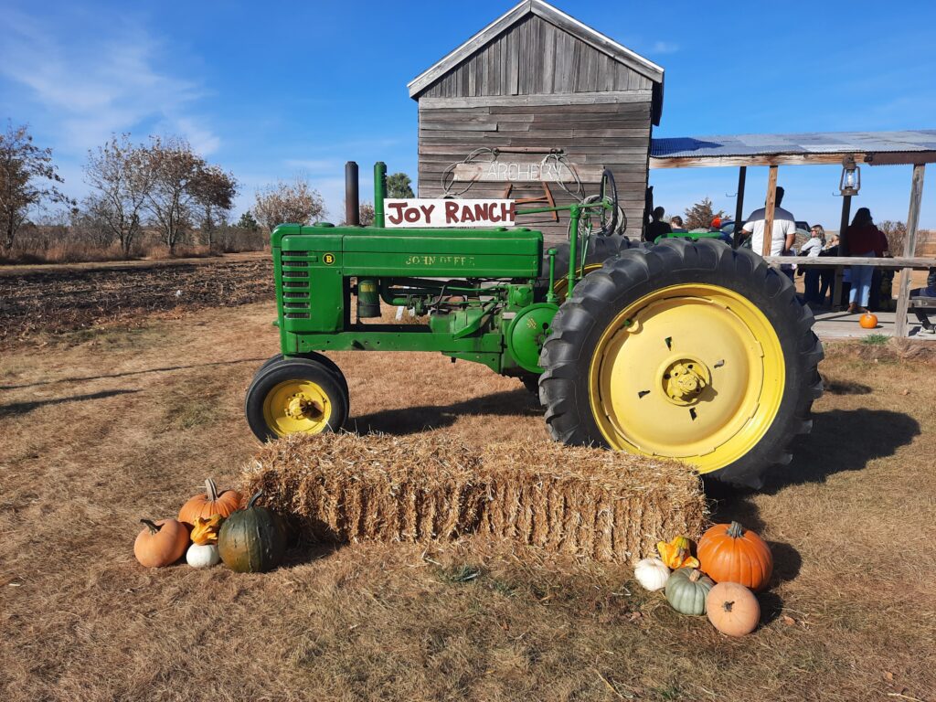 Fall fun at Joy Ranch | Watertown Current