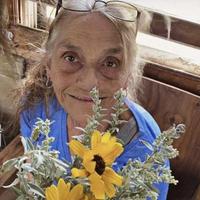 Cynthia Dawn Hopkins | Watertown Current