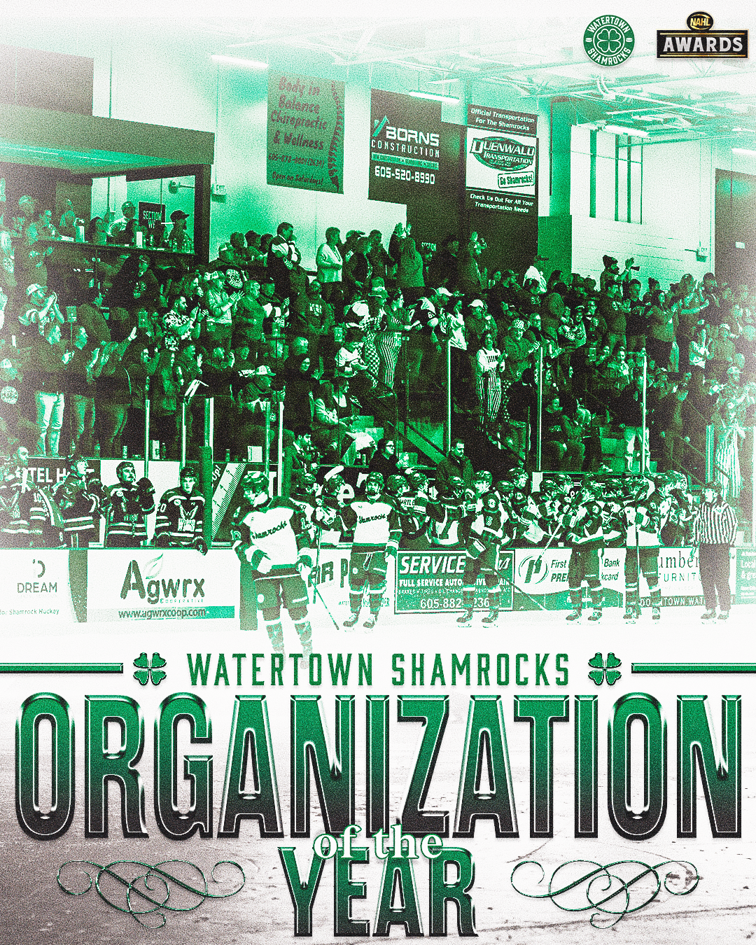 Shamrocks claim 'Organization of the Year' title | Watertown Current