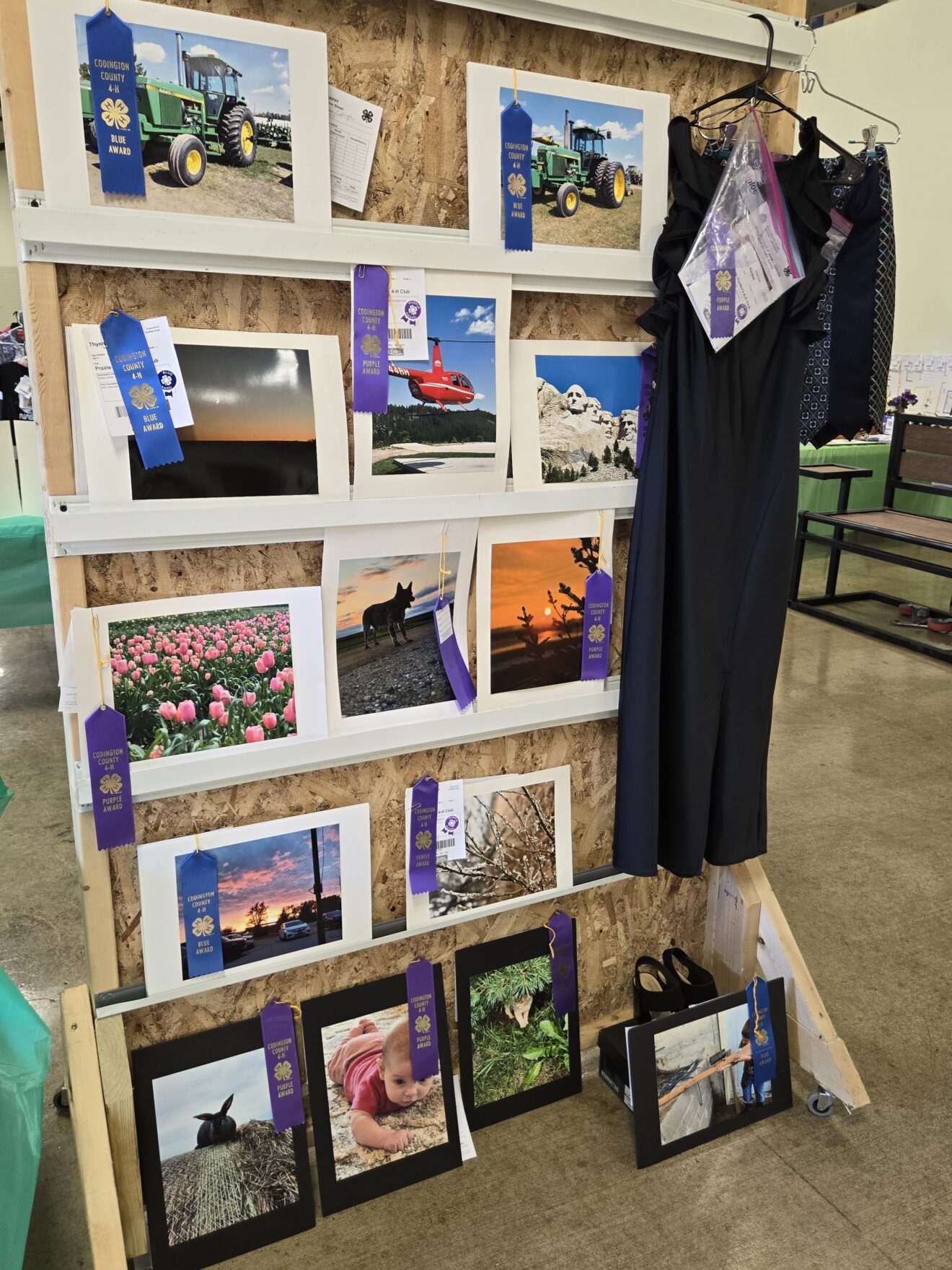 4-H announces Achievement Days winners | Watertown Current