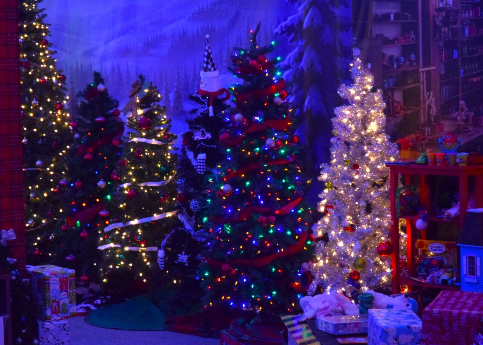 Santaland opens for the season at Watertown Mall | Watertown Current