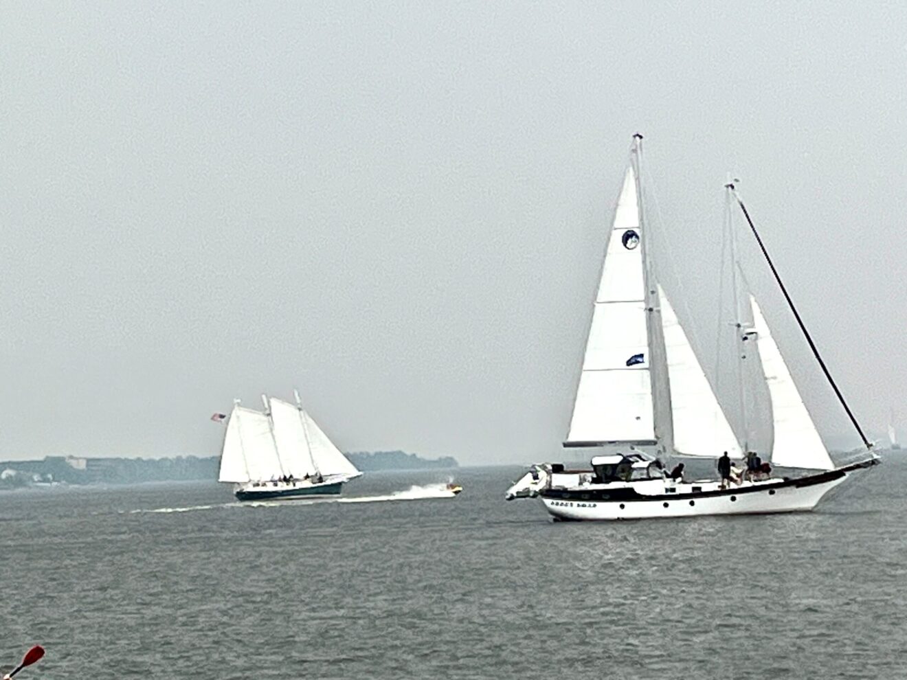 Dear County Agent Guy: Another year of fond memories | Watertown Current