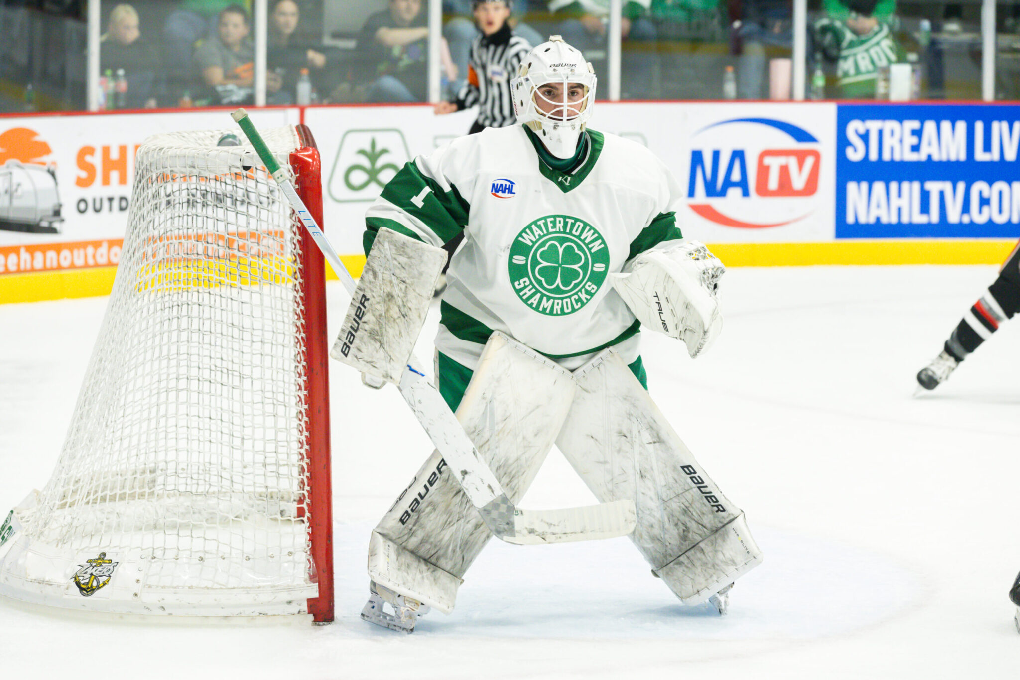 Shamrocks' Gudridge grew up playing hockey in Colorado | Watertown Current