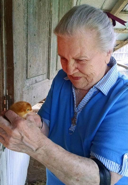 Dear County Agent Guy: Centenarian's story worth telling | Watertown ...