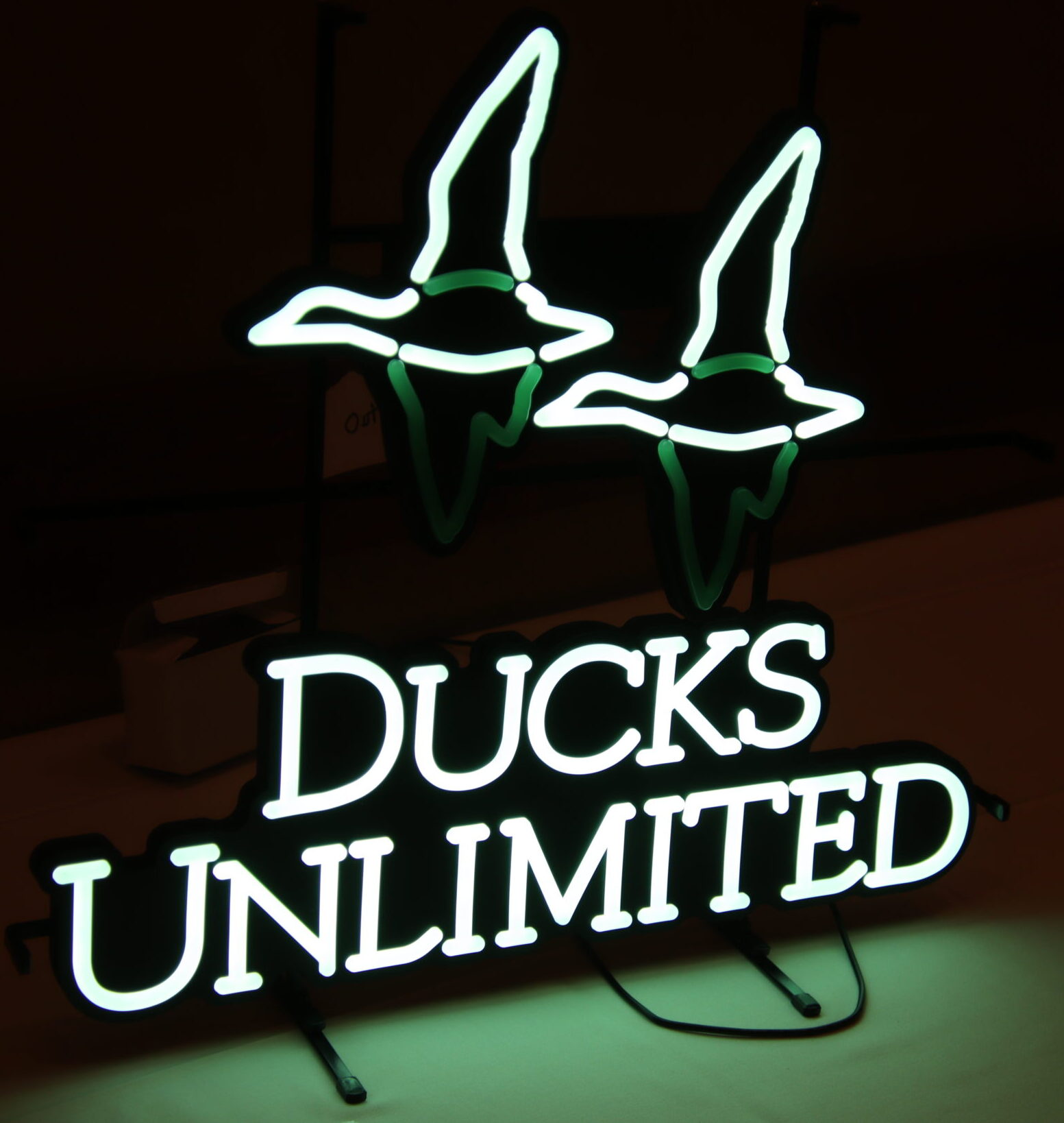 Duck scientist speaks on waterfowl DNA project at Ducks Unlimited ...