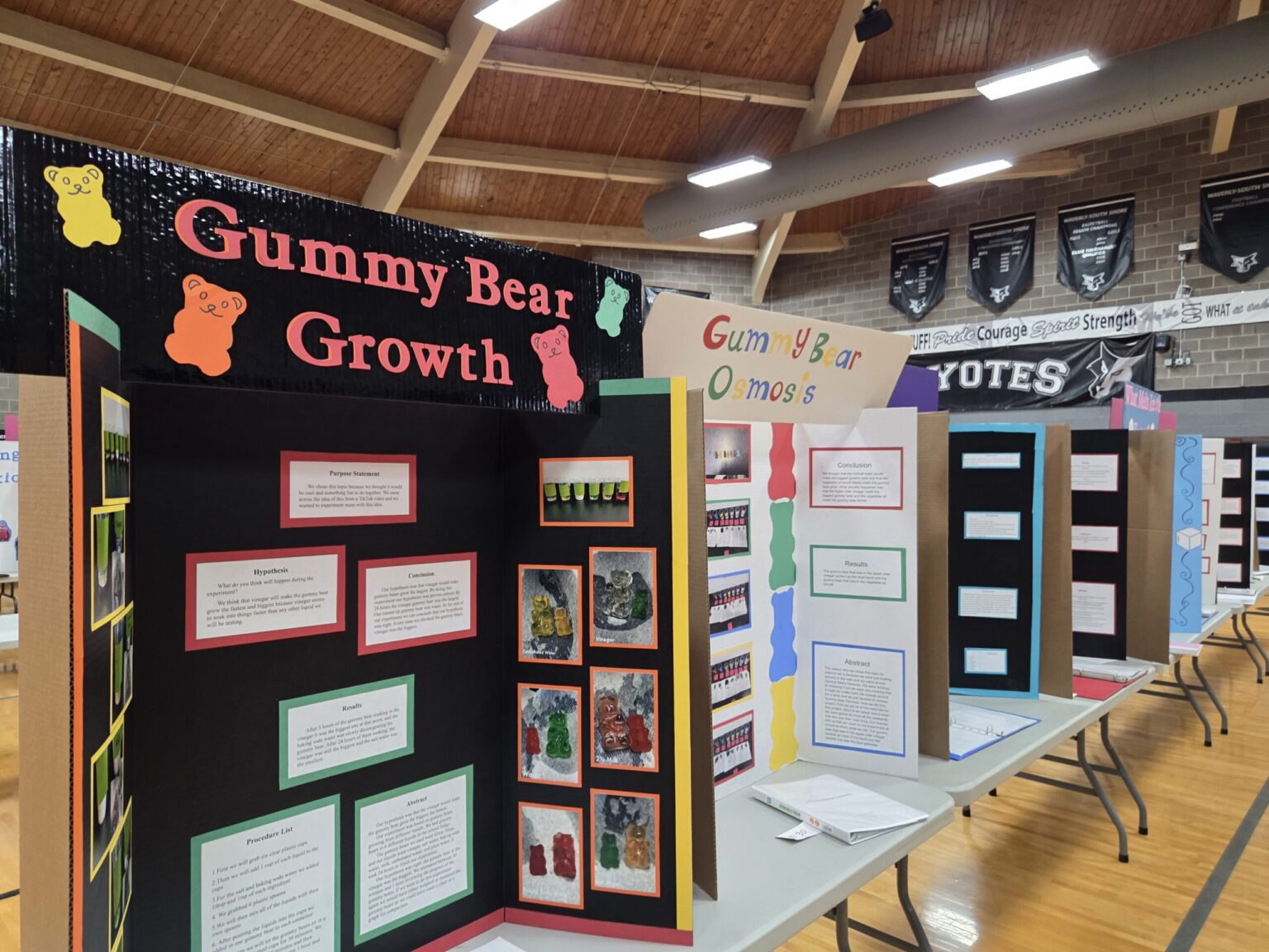Science Fair held at Waverly/South Shore School | Watertown Current
